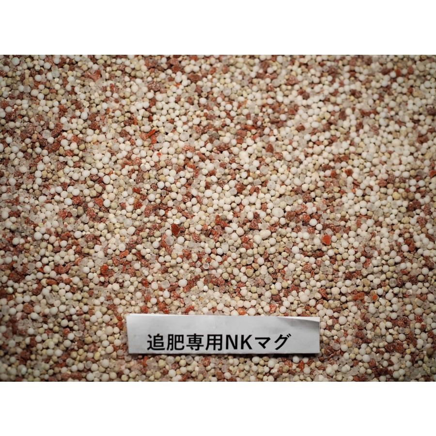 化成肥料 追肥専用NKマグ お得 まとめ買い 10袋セット 1袋20kg 旭肥料【89-42】 : ノウキナビYahoo!ショップ - 通販 ...