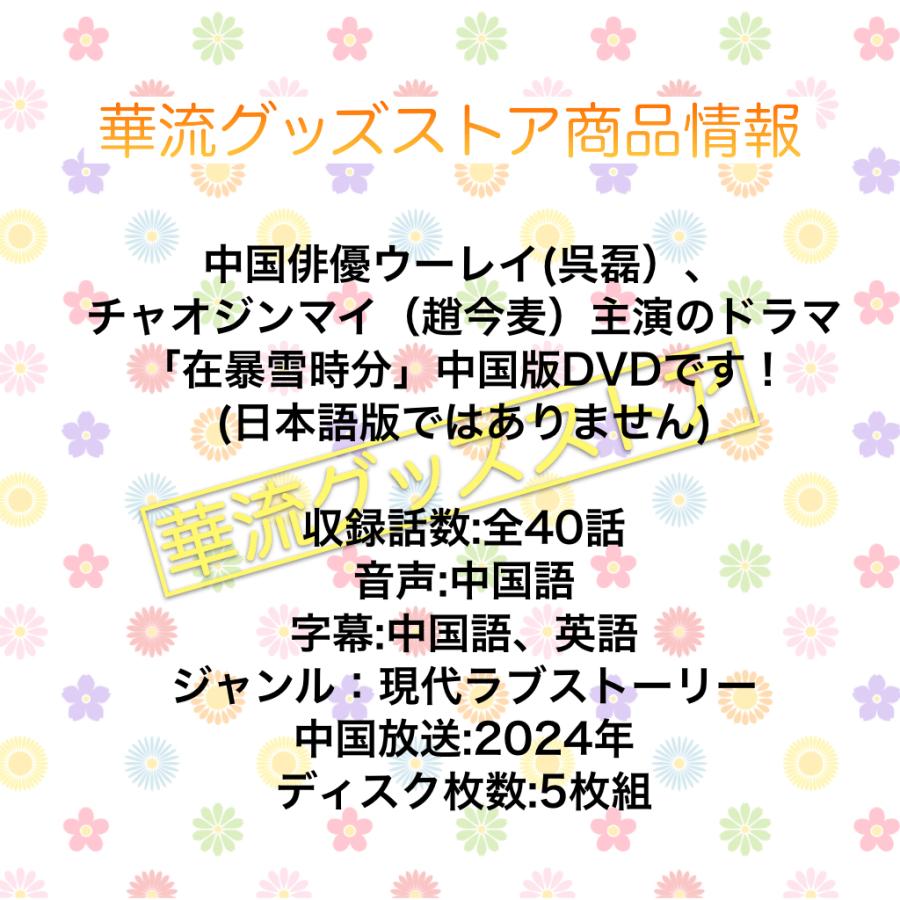 中国ドラマ「在暴雪時分(邦題:ロマンスの降る街)」中国版DVD ポストカード付！ : 0249 : 華流グッズストア - 通販 - Yahoo!ショッピング