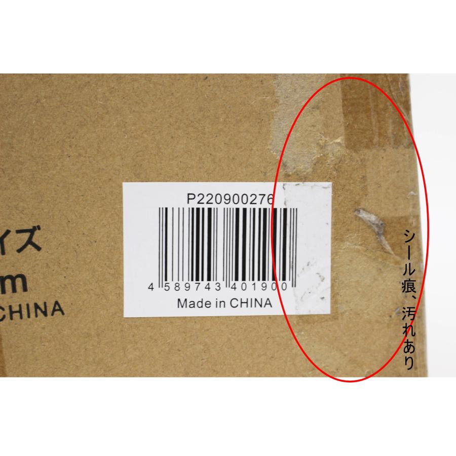 REDHILL サイクロン掃除機 スティッククリーナー HC240 cyc003 コードレス掃除機 ホワイト R2308-171 : カシコシ ...