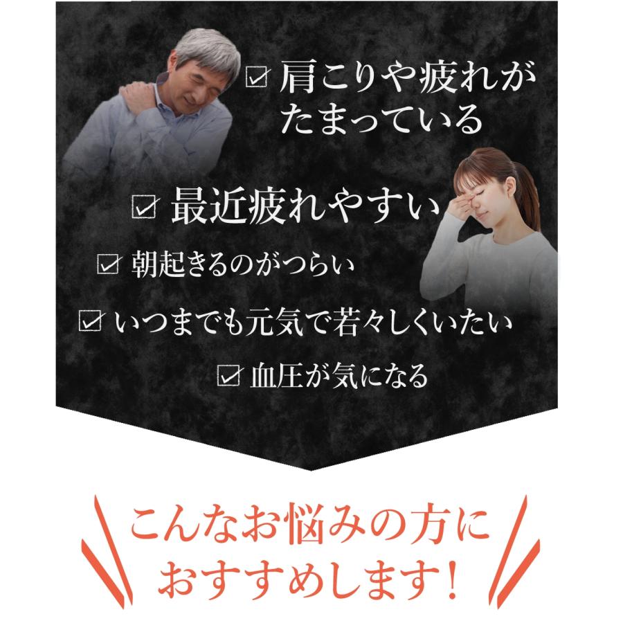 親孝行黒にんにく機能性表示食品190g 3個セット : 有限会社柏崎青果 - 通販 - Yahoo!ショッピング