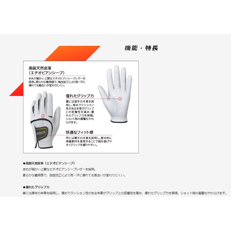 XXIO ゼクシオ ゴルフ グローブ GGG-X019 手袋 : カスカワスポーツ - 通販 - Yahoo!ショッピング