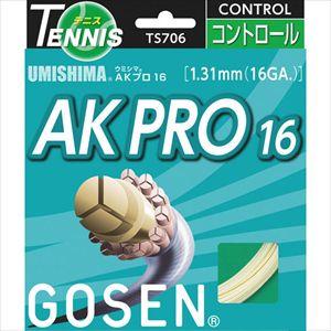 GOSEN ゴーセン UMISHIMA AKプロ16 GOS-TS706 : カスカワスポーツ - 通販 - Yahoo!ショッピング