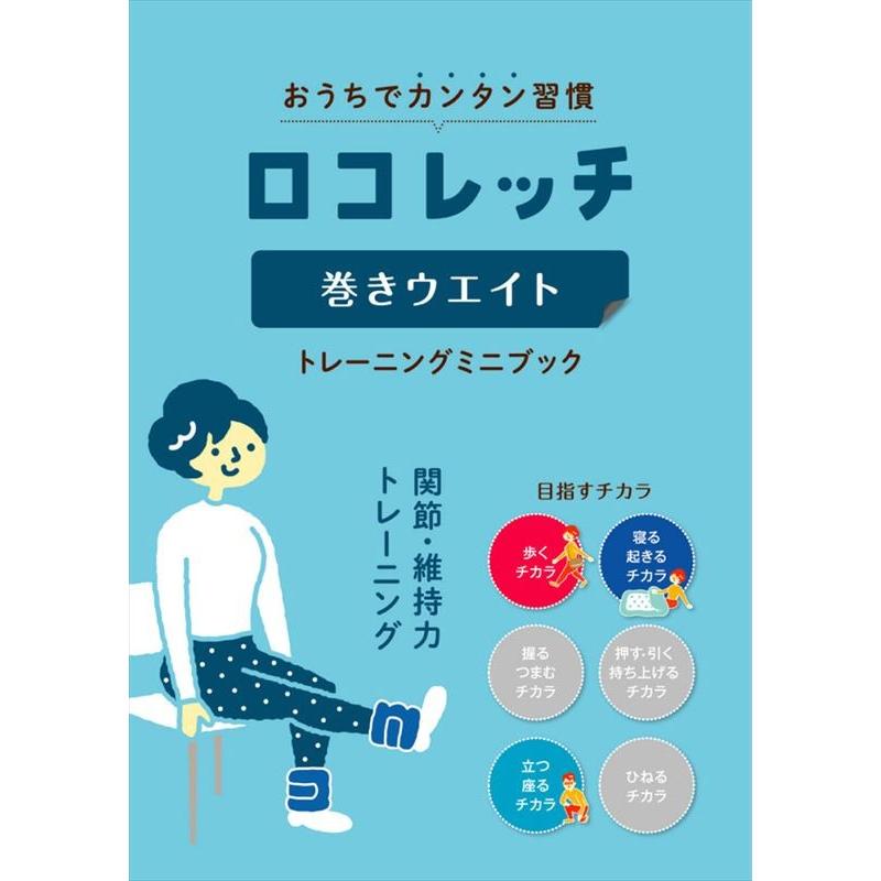 HATACHI HATACHI（ハタチ） 巻きウエイト(500g2個入) : カスカワスポーツ - 通販 - Yahoo!ショッピング