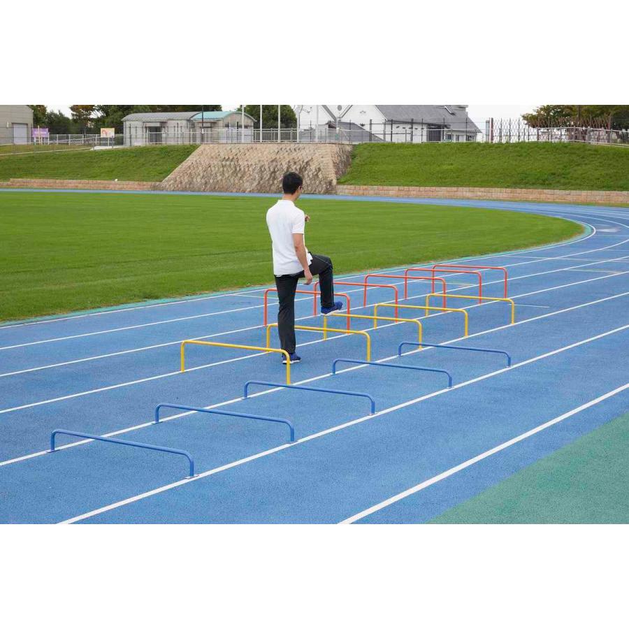 淡野製作所 DANNO D190 レーンハードル H150 : カスカワスポーツ - 通販 - Yahoo!ショッピング