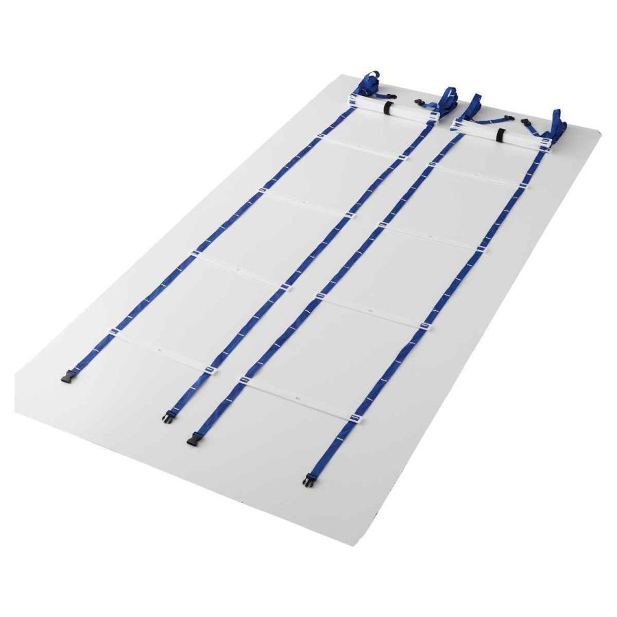 淡野製作所 DANNO D5307 ラダーL550(2本1組) : カスカワスポーツ - 通販 - Yahoo!ショッピング