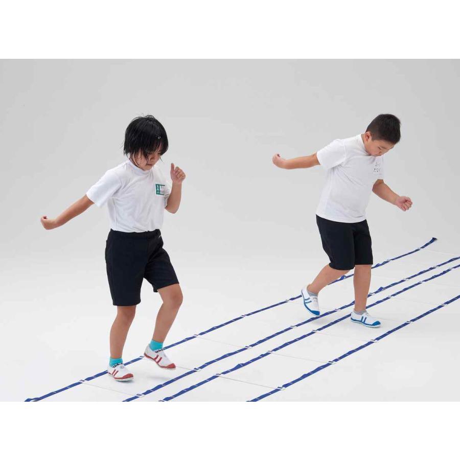 淡野製作所 DANNO D5307 ラダーL550(2本1組) : カスカワスポーツ - 通販 - Yahoo!ショッピング