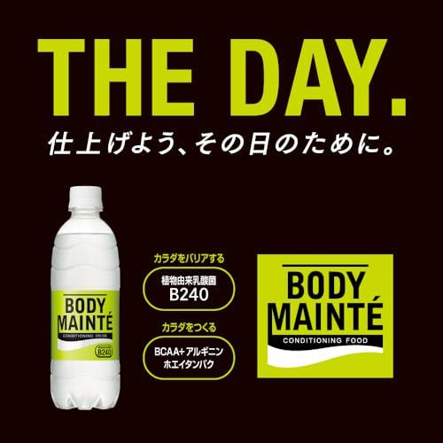 大塚製薬 ボディメンテ ドリンク500ml×24ケース : kasuta - 通販 - Yahoo!ショッピング