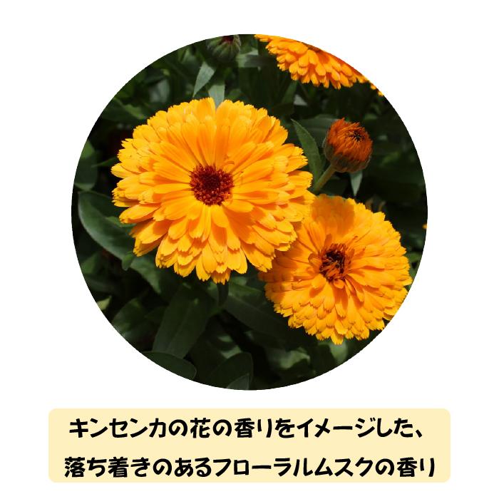 ゾイック Nシリーズ ロングシャンプー＆リンスセット 300ml×2 犬猫用 : zoic-n-k-lset : カチオン - 通販 - Yahoo!ショッピング