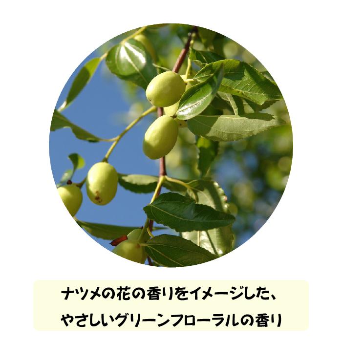 ゾイック Nシリーズ パピドールリンス 300ml 犬猫用 :zoic-n-k-pr:カチオン - 通販 - Yahoo!ショッピング