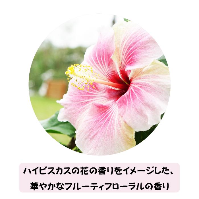 ZOIC ゾイック Nシリーズ ショートセット 300ml×2 シャンプー＆リンス 犬猫用 : カチオン - 通販 - Yahoo!ショッピング