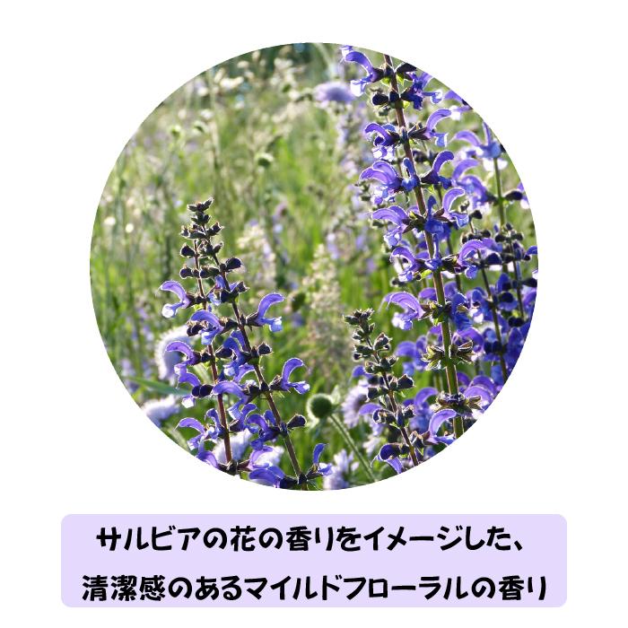 ZOIC ゾイック Nシリーズ ホワイトニングリンス 300ml 犬猫用 : カチオン - 通販 - Yahoo!ショッピング