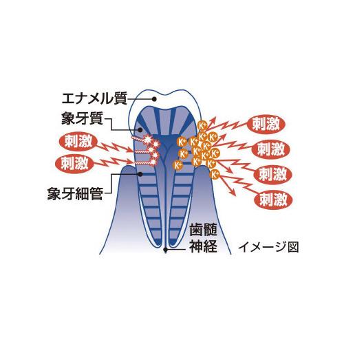 GSK シュミテクト歯周病ケア : カウモール - 通販 - Yahoo!ショッピング