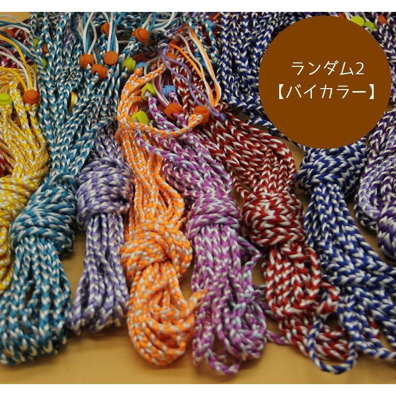 ハーネスリード 小動物用 リード一体型 胴輪 首輪 2WAY スリップリード 単色 バイカラー カラーランダム ハムスター モルモット リス モモンガ : KAWAeMON - 通販 ...