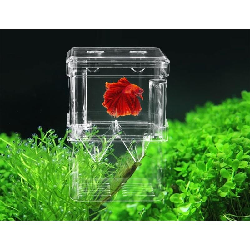 繁殖隔離ケース 産卵ケース 隔離ケース 2段 2層 繁殖隔離ボックス 水槽用 外置き用 飼育ボックス 隔離用品 ペットグッズ ペット用品 アクアリウム : KAWAeMON - 通販 ...