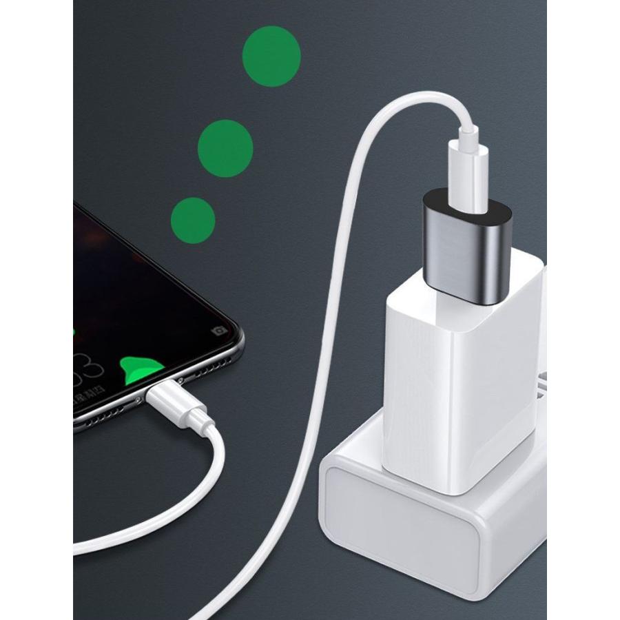 変換アダプター USB3.1 USB-A オス to USB-C Type-C メス OTG 充電 高速データ転送 10Gbps : KAWAeMON - 通販 - Yahoo!ショッピング