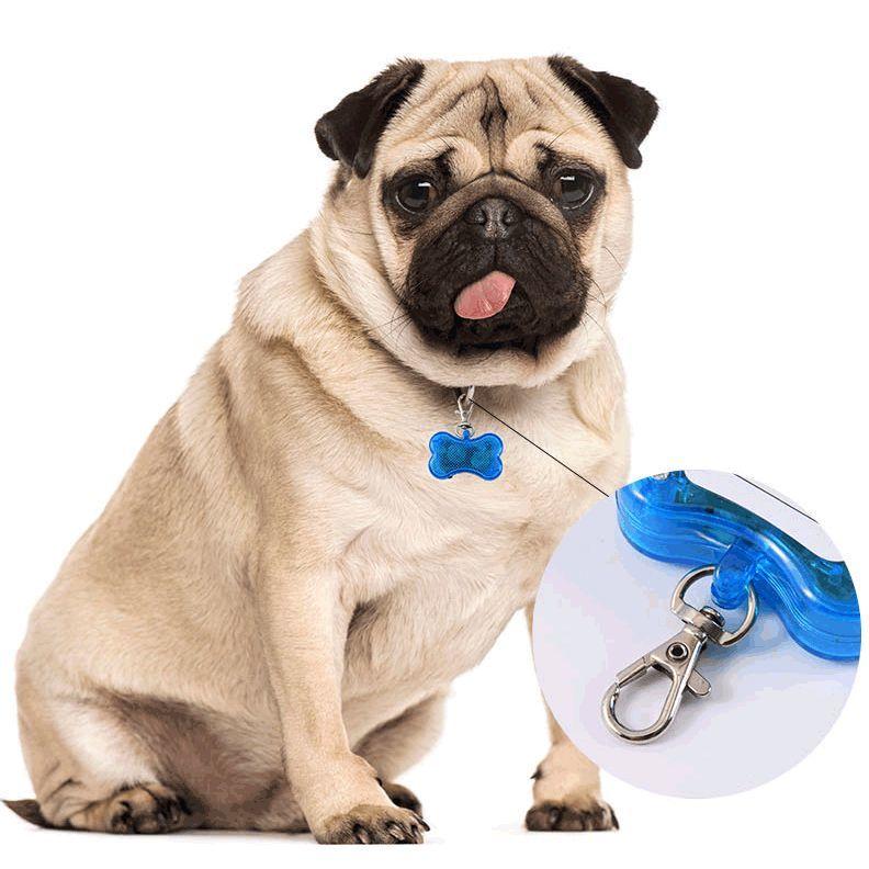 首輪用チャーム LEDライト 光る ペット用アクセサリー ペット用品 犬用 夜間 お散歩 安全対策 電池式 おしゃれ カラフル リチウム : KAWAeMON - 通販 - Yahoo!ショッピング