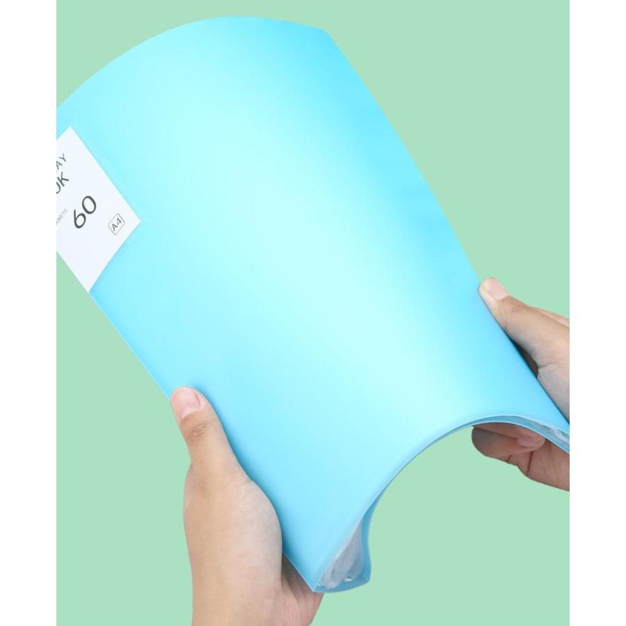 ファイルブック ファイルケース ドキュメントファイル A4 20ページ 30ページ 書類ケース プリント整理 持ち運び クリアポケット 収納 日用品雑 :zak-51623:KAWAeMON ...