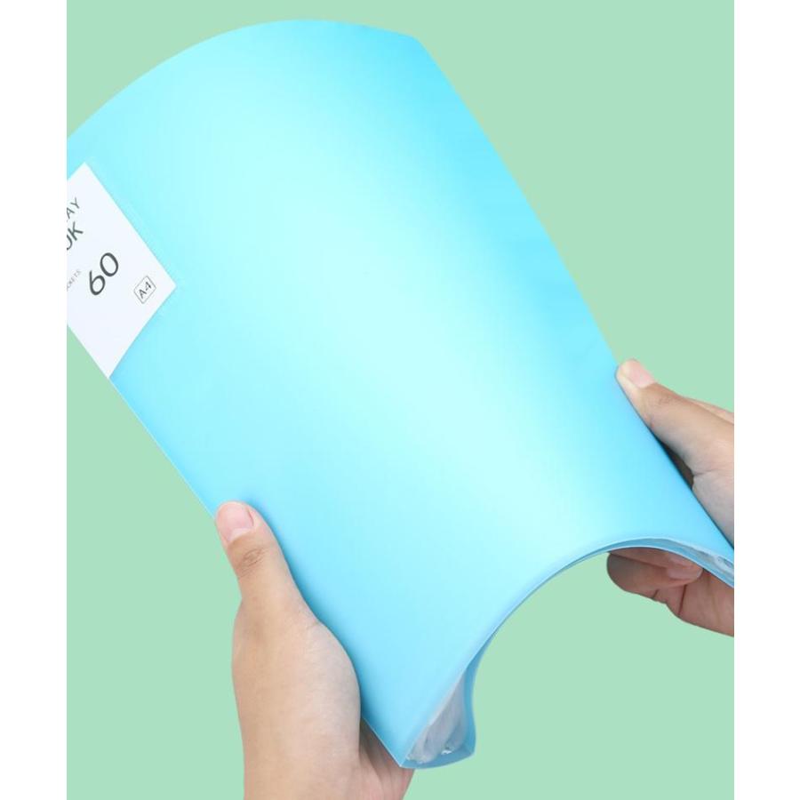 ファイルブック ファイルケース ドキュメントファイル A4 20ページ 30ページ 書類ケース プリント整理 持ち運び クリアポケット 収納 日用品雑 : KAWAeMON - 通販 ...