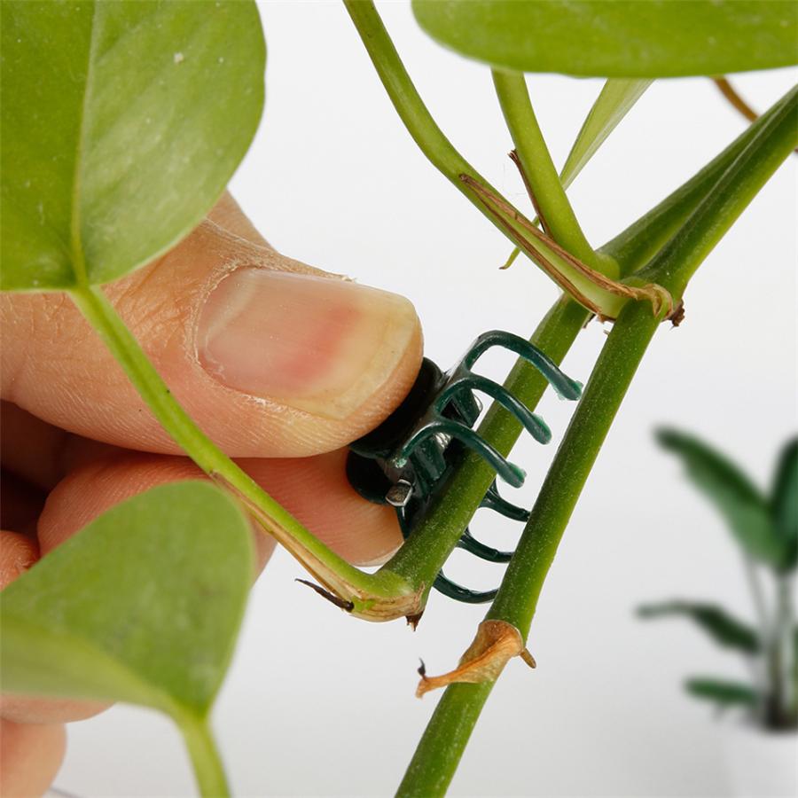 園芸用クリップ 植物クリップ 100個入り 誘引クリップ 植物サポート つる 洋ラン 洋蘭 誘引作業 園芸用品 ガーデニング 家庭菜園 農業用 野菜 : zak-73984 ...