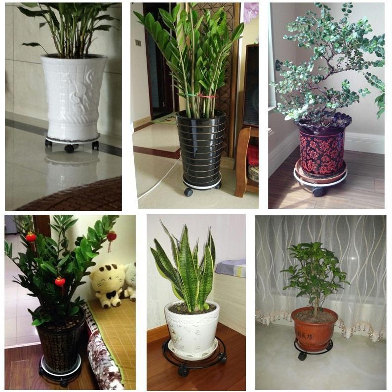 フラワースタンド 鉢のせ台 キャスター付き ポットスタンド 27cm 花台 植木鉢置き 移動 台車 鉢スタンド ガーデニング グリーン 鉢台 植木鉢台 : KAWAeMON - 通販 ...