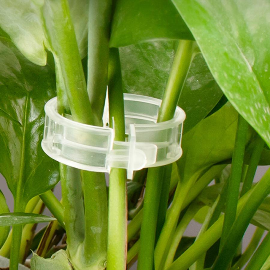 園芸用クリップ 誘引クリップ 50個セット 固定 留める サポート 支柱 取り付け簡単 園芸用品 ガーデニング 家庭菜園 農業用 植物 花 野菜 : KAWAeMON - 通販 - Yahoo ...