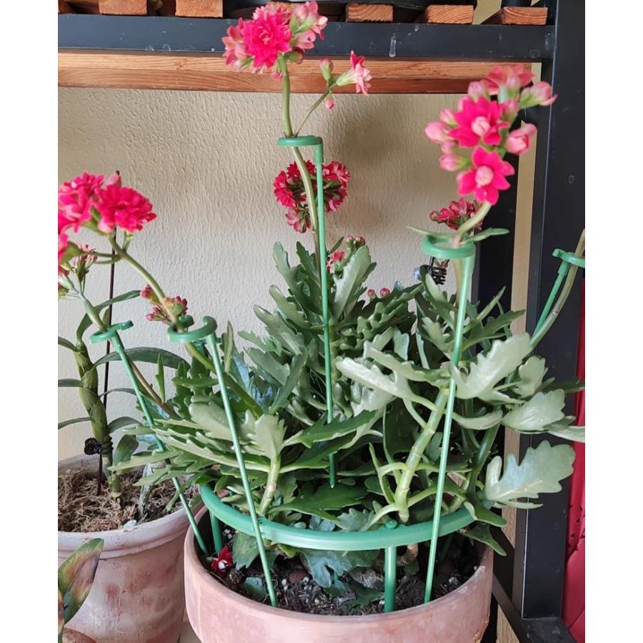 園芸支柱 20本セット 17cm 27cm 観葉植物 園芸 誘引 サポート 支え 簡単 設置 固定 転倒予防 植木鉢 ガーデニング用品 : KAWAeMON - 通販 - Yahoo!ショッピング