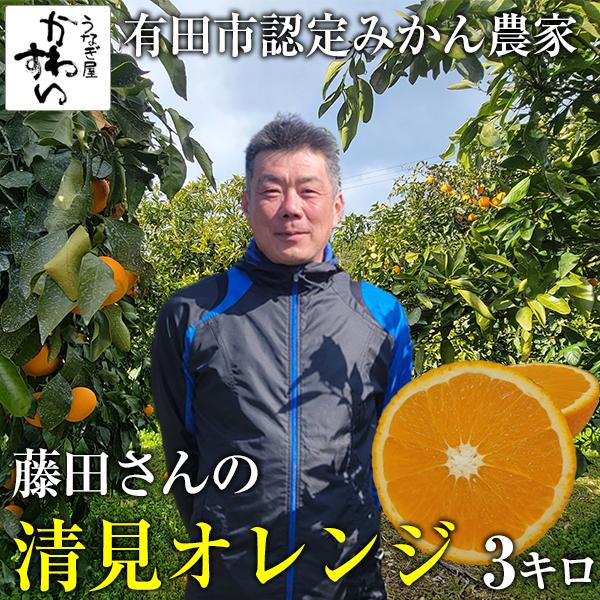 うなぎ屋かわすい 予約販売 3月上旬以降発送 藤田さんの清見オレンジ 2S〜2Lサイズ混合 3キロ 清見 きよみ キヨミ オレンジ : うなぎ屋かわすい 川口水産 ヤフー店 - 通販 ...