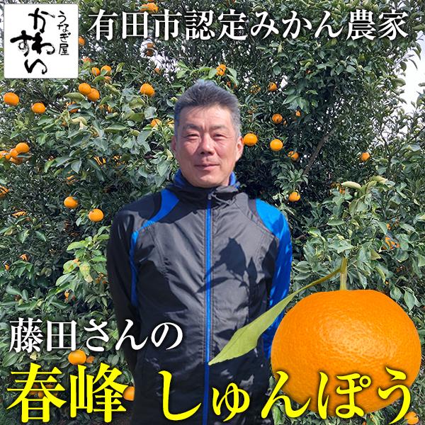 うなぎ屋かわすい 収穫次第順次発送 藤田さんの春峰 2S〜2Lサイズ混合 5キロ しゅんぽう : うなぎ屋かわすい 川口水産 ヤフー店 - 通販 - Yahoo!ショッピング