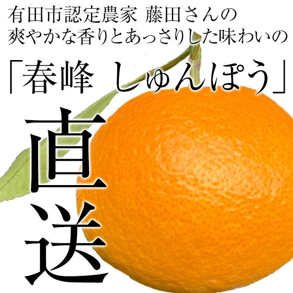 うなぎ屋かわすい 収穫次第順次発送 藤田さんの春峰 2S〜2Lサイズ混合 5キロ しゅんぽう : うなぎ屋かわすい 川口水産 ヤフー店 - 通販 - Yahoo!ショッピング