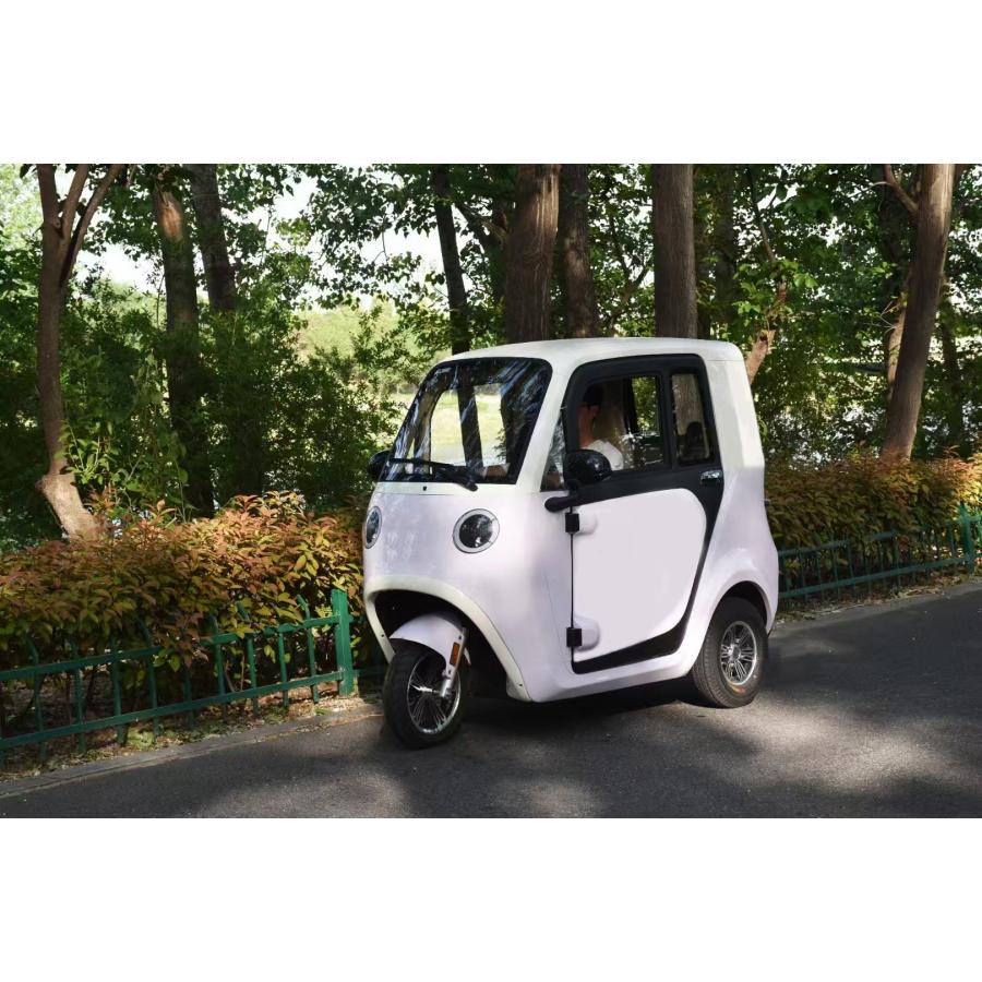 NEV OtotO 電動ミニカー 着脱式バッテリー 三輪 自動車 トゥクトゥク ドア付き TukTuk ミニEV 電動トゥクトゥク リン酸鉄リチウムイオン電池 : 河西商事 - 通販 ...