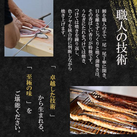 国産 うなぎ 蒲焼 有頭 腹開き 大サイズ一尾 211g〜225g かばやき : うなぎの川島家 - 通販 - Yahoo!ショッピング