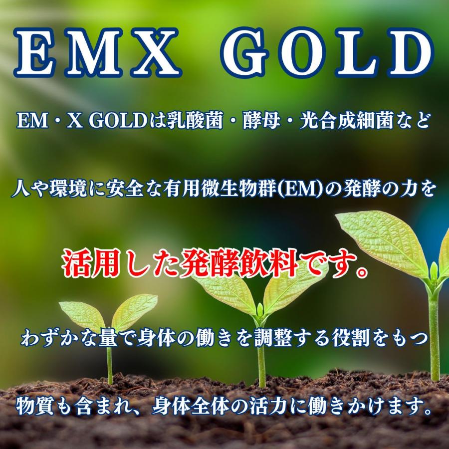 EMX GOLD (イーエムエックスゴールド) emxゴールド 500ml×3本 EMgold emゴールド EM生活 EMXゴールド 栄養 ...