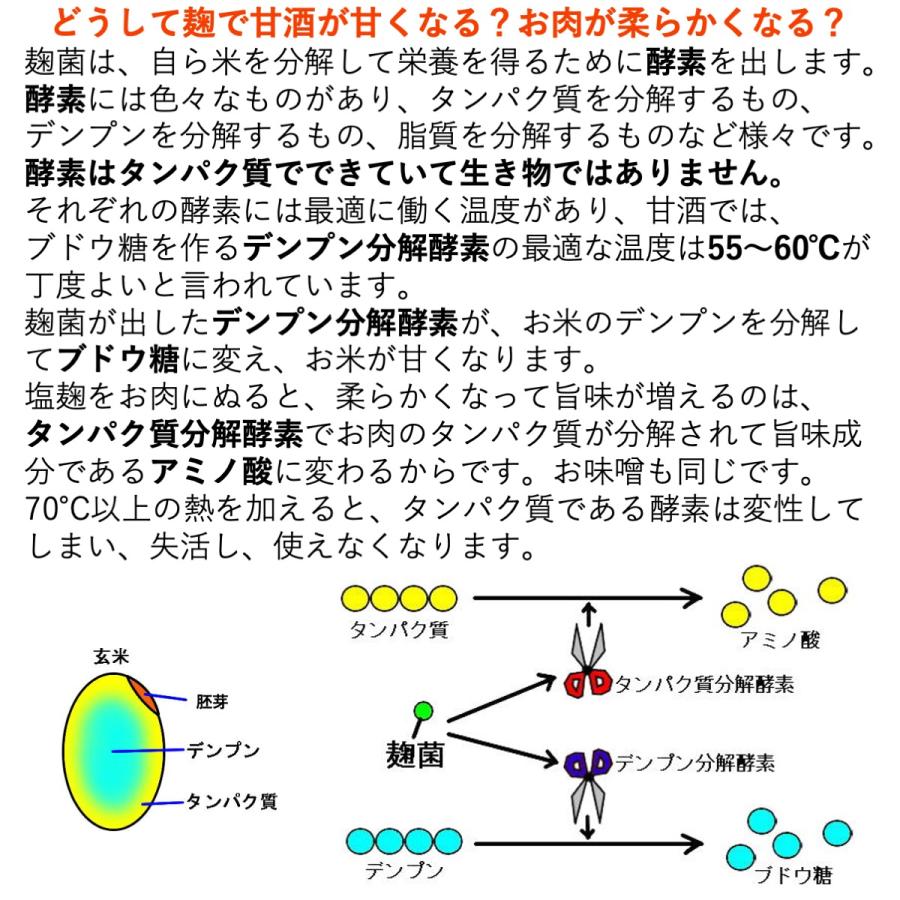 川添酢造 無農薬 発芽 玄米麹 パウダー 250g まとめ買いでお得 生麹換算333g以上 乾燥 粉末麹 九州産 米麹粉末 麹粉 麹菌 玄米甘酒 塩麹 こうじ 酵素 糀 : 川添酢造有限会社 ...