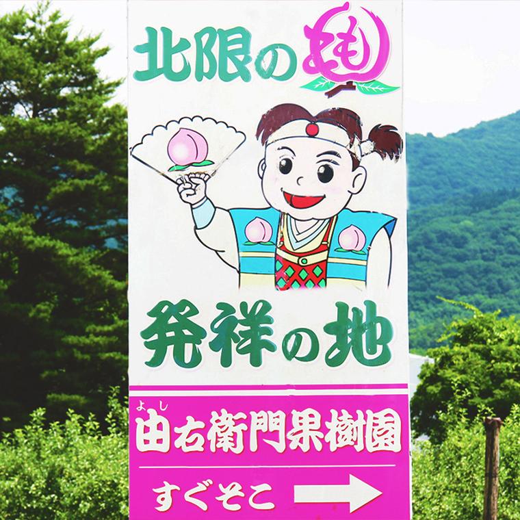 【先行予約受付中】お買得品 かづの北限の桃「川中島白桃」約2.5kg（7〜9玉） 2025年9月上旬発送開始 秋田県鹿角産 国産 桃 旬 完熟 限定 産地直送 送料無料 : 恋する鹿角WEB ...