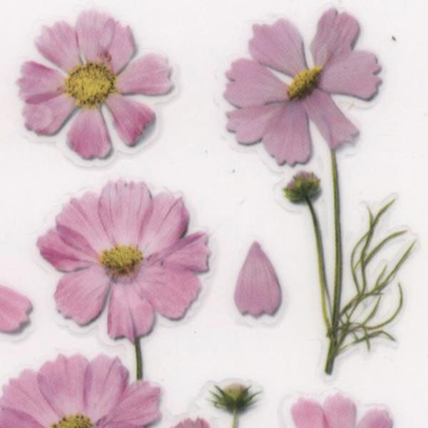 Pressed Flower Stickers /押し花 ステッカー コスモス PFS-014 : 文具・文房具のKDM ヤフー店 - 通販 - Yahoo!ショッピング