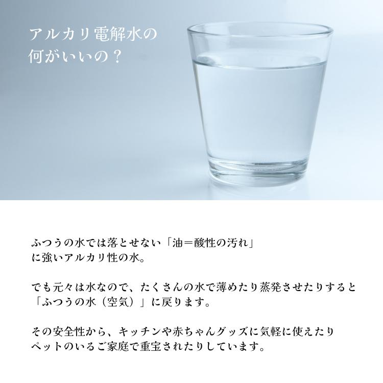がんこ本舗 進化したone with森と・・・詰替パック 147g×5 そうじスプレー アルカリ電解水 海へ 森と step fukii 油汚れ 掃除 爆買 : ケゴマル - 通販 ...