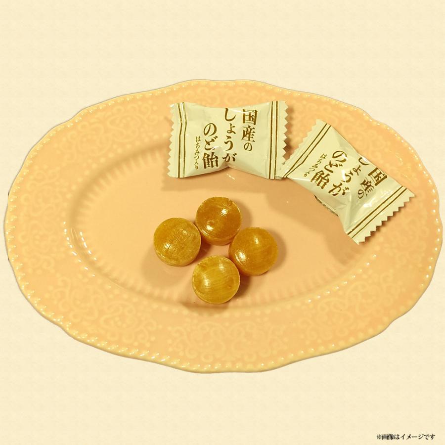 国産 しょうが のど飴 70g×10袋 はちみつ入り 香料 着色料 不使用 送料無料 : 世界の珍味 ウイスキー ナッツ - 通販 - Yahoo!ショッピング