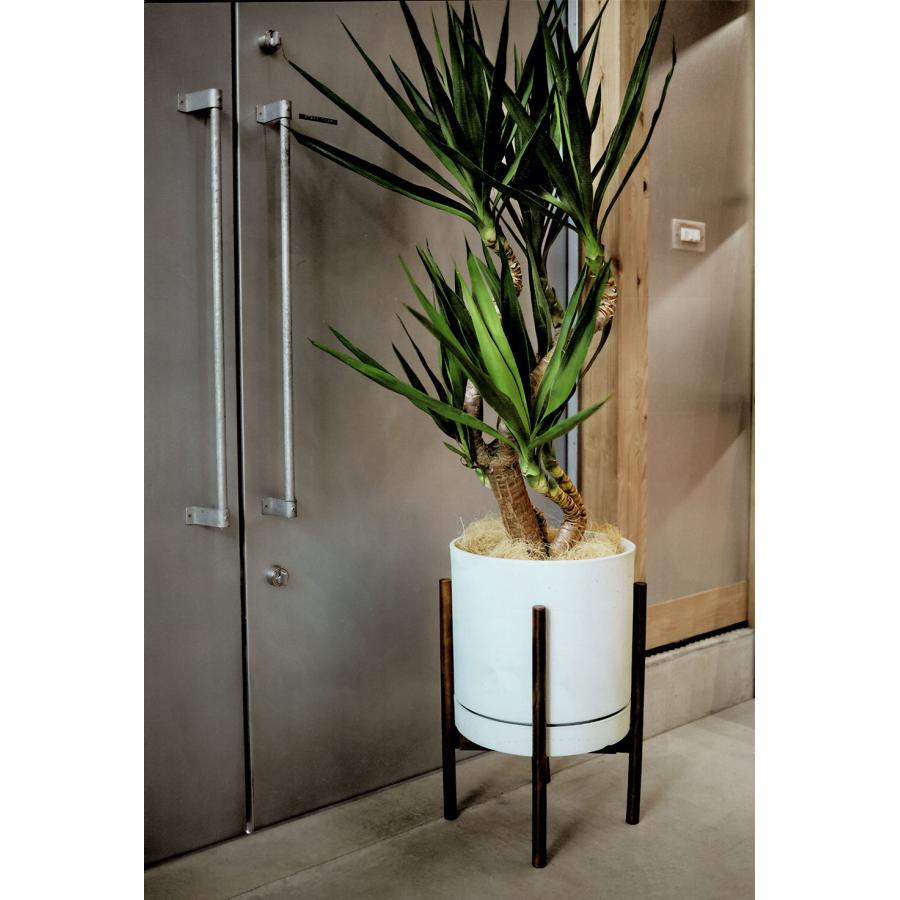 ポットスタンド アジャスタブル おしゃれ 鉢カバー用 インテリア 木製 H36 :ac-ws3-36e:インテリアグリーンと植木鉢の通信販売 - 通販 - Yahoo!ショッピング