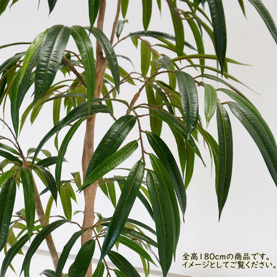 インテリアグリーン 大型 おしゃれ 人気 おすすめ リアル フェイクグリーン 観葉植物 造花 樹木 ゴムの木 イレグラリス ショウナンゴムノキ 本物そっくり 180cm : インテリアグリーン ...