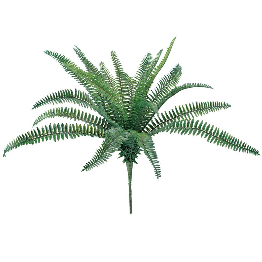 観葉植物 おしゃれ インテリアグリーン 人工観葉 造花 フェイク 玉シダ 37cm 2本セット : インテリアグリーンと植木鉢の通信販売 - 通販 - Yahoo!ショッピング