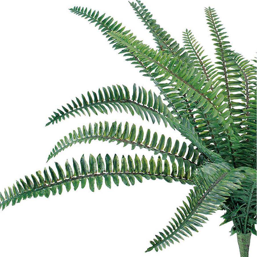 観葉植物 おしゃれ インテリアグリーン 人工観葉 造花 フェイク 玉シダ 37cm 2本セット : インテリアグリーンと植木鉢の通信販売 - 通販 - Yahoo!ショッピング