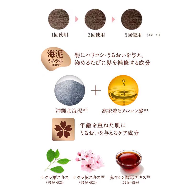 LESSE ホーユー レセ カラートリートメント ダークブラウン 245g 2個 : KELLYSヤフーショッピング店 - 通販 - Yahoo!ショッピング