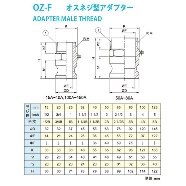小澤物産 1/2インチ 15A OZCレバーカップリング オスネジ型アダプター（オス×オスネジ） OZ-F ステンレス製 カムロック : 建築土木ストア - 通販 - Yahoo!ショッピング