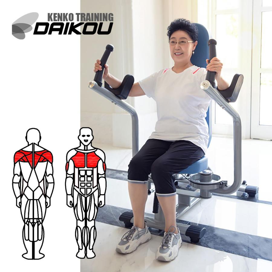 DAIKOU（ダイコー） ペクトラルフライ/リアデルト 油圧GYMマシン 準