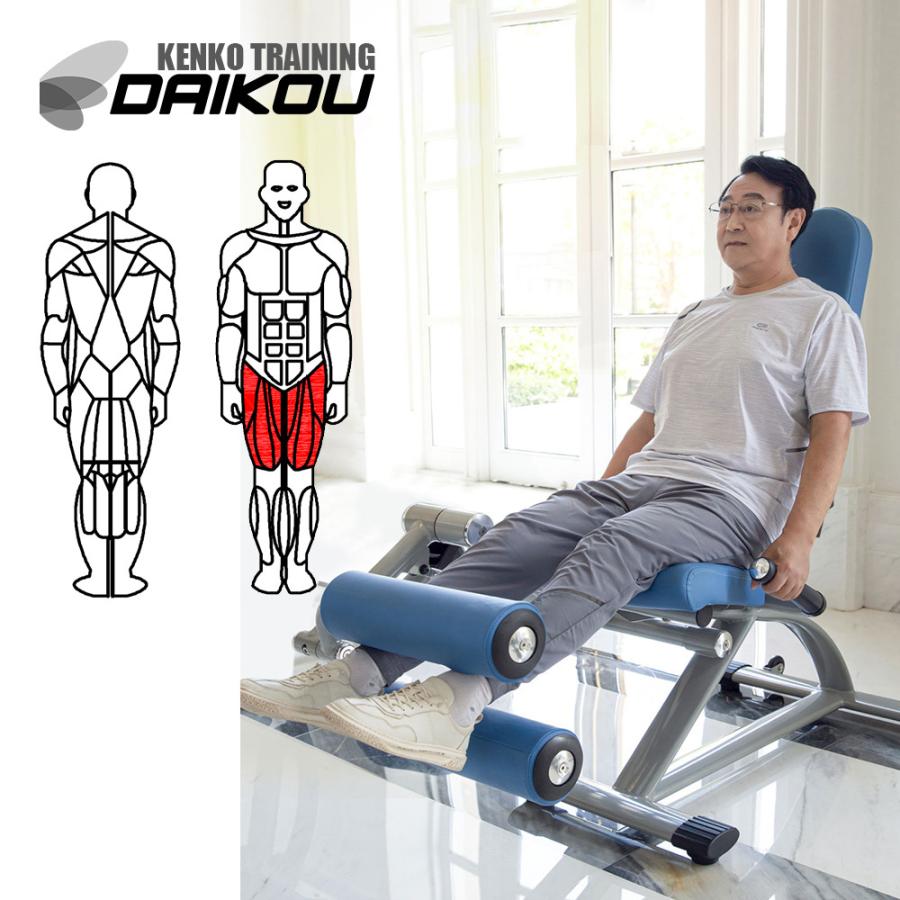 DAIKOU レッグカール/エクステンション 油圧GYMマシン 準業務用 トレーニング ヒップアップ 大腿四頭筋 12段階負荷 健康器具 DK-677 : DAIKOU Yahoo!店 ...