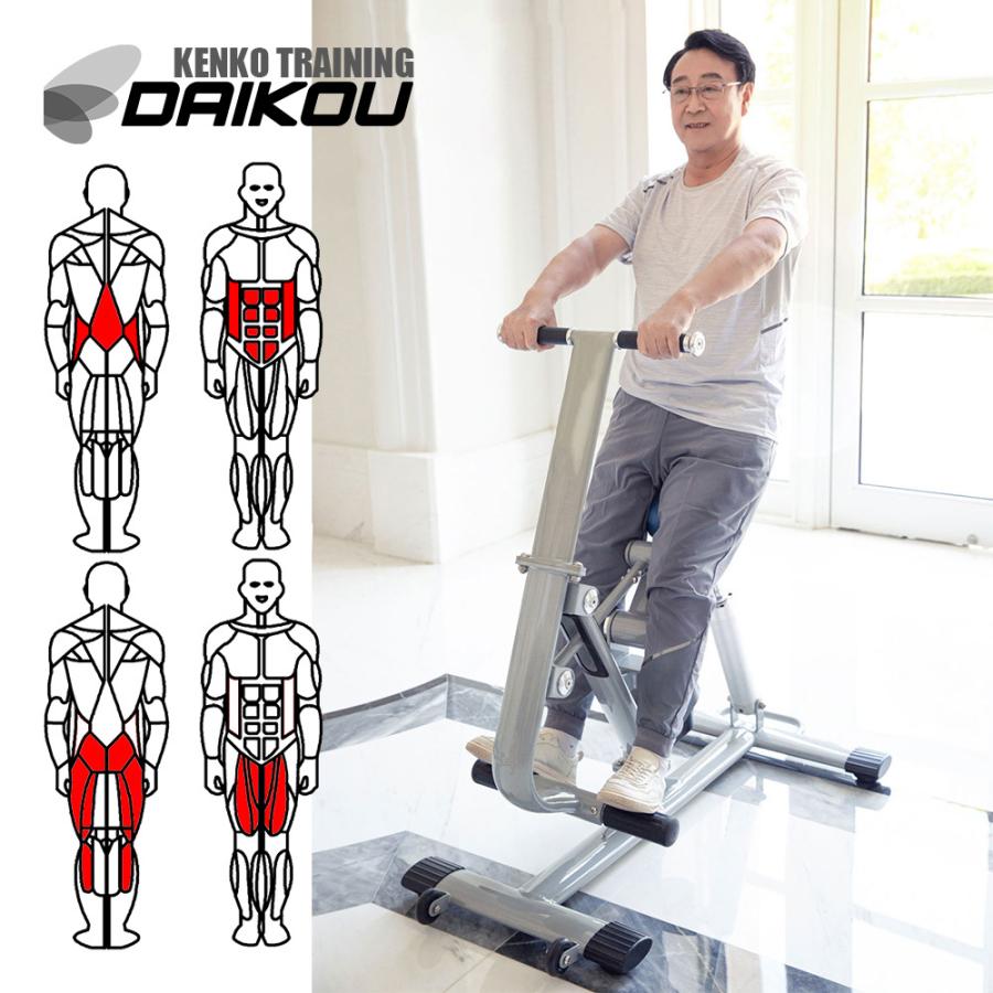 DAIKOU ホースライディング 油圧GYMマシン 準業務用 トレーニング フィットネス ホースライダー 乗馬 くびれ 12段階負荷 健康器具 ダイコー DK-679 : DAIKOU ...