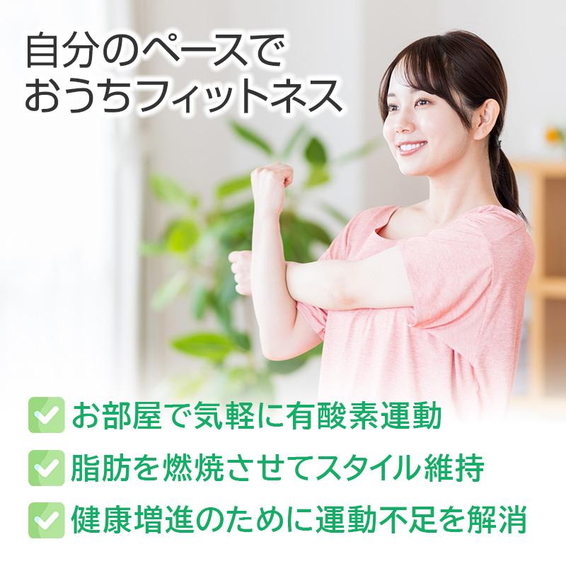 DAIKOU（ダイコー） 【2025新商品】 フィットネスバイク 家庭用 折りたたみ ミニ 静音 省スペース 連続使用時間 60分 アップライトバイク DK-XH202/XB202 ...