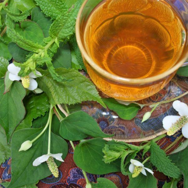 どくだみ ブレンド 150g Dokudami Blended Tea : 健康茶ギャラリー Yahoo!店 - 通販 - Yahoo!ショッピング