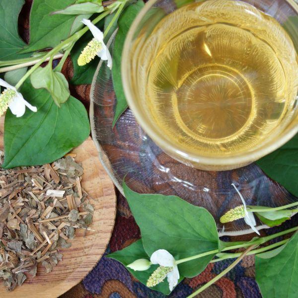 どくだみ茶 80g Dokudami Tea / Fish Mint Tea ドクダミ茶 国産 : 健康茶ギャラリー Yahoo!店 - 通販 ...