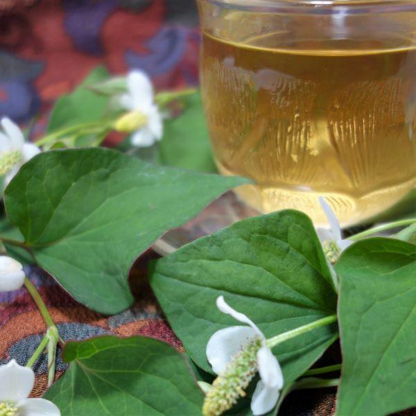 どくだみ茶 5袋（4g入り ティーバッグ ×5袋） Dokudami Tea / Fish Mint Tea :j-dokudami-4:健康 ...